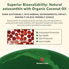VitaminEsentials vegan fish oil gummies