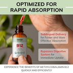 VitaminEsentials vitamin b12 benefits