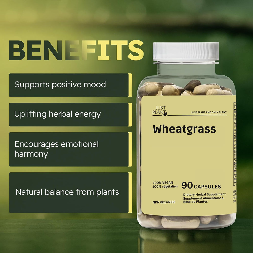 VitaminEsentials wheat grass superfood supplement