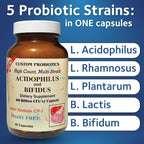 VitaminEssentials digestive health support