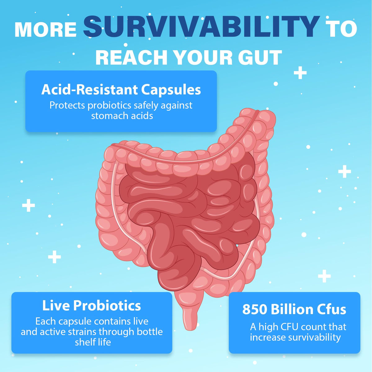 VitaminEssentials men's probiotics formula