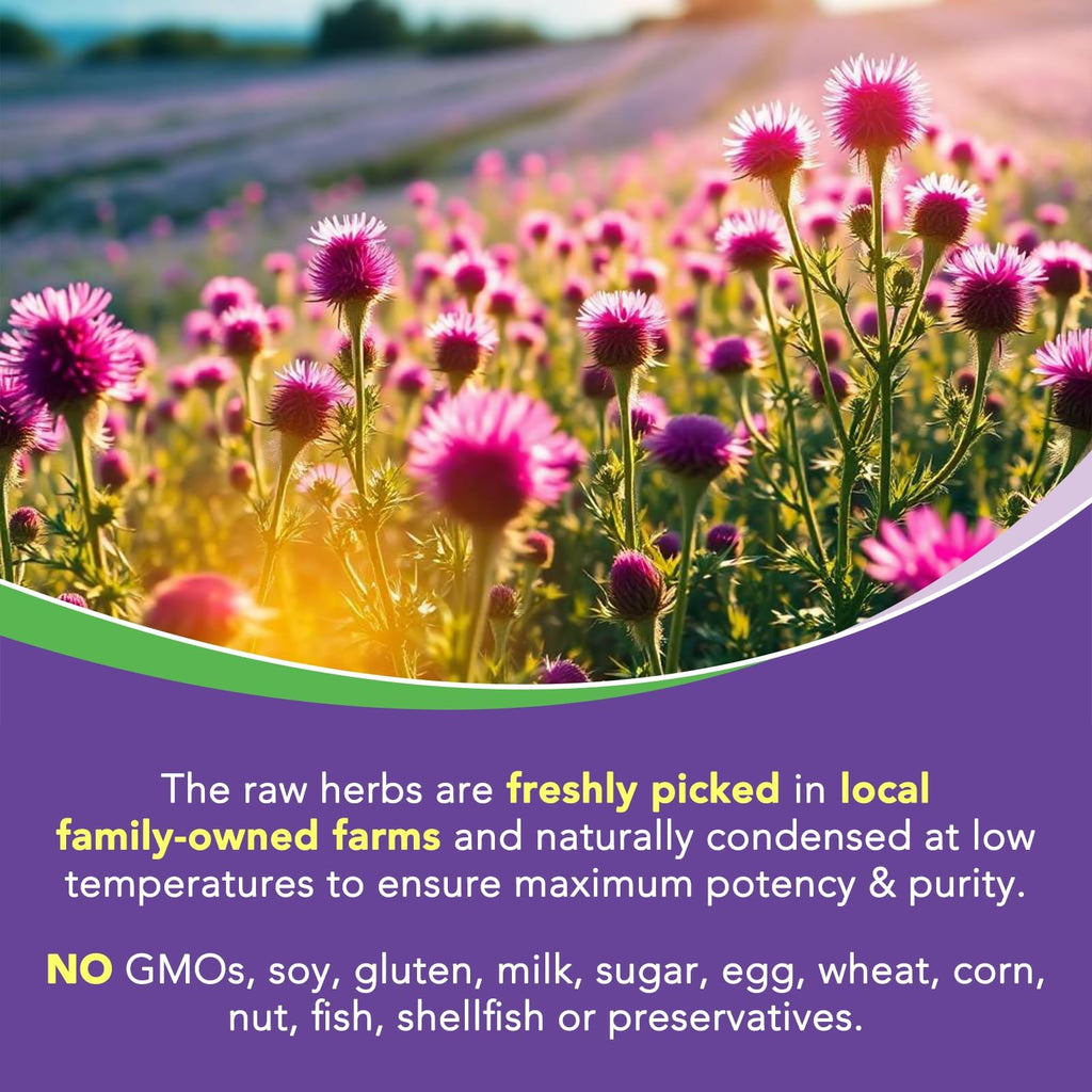 VitaminEssentials milk thistle 240 mg