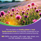 VitaminEssentials milk thistle 240 mg