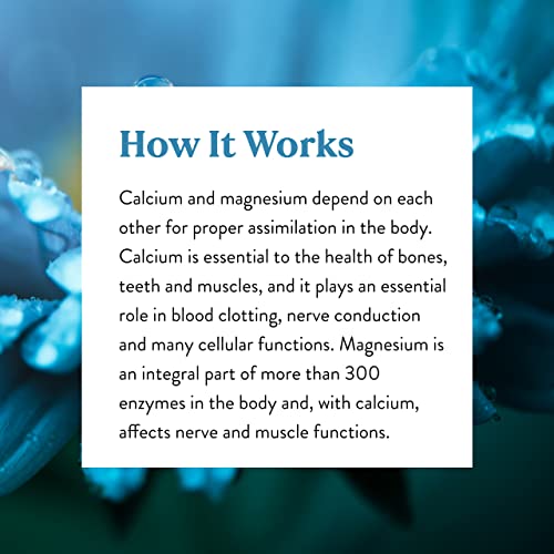 Vitamins and minerals for bone density