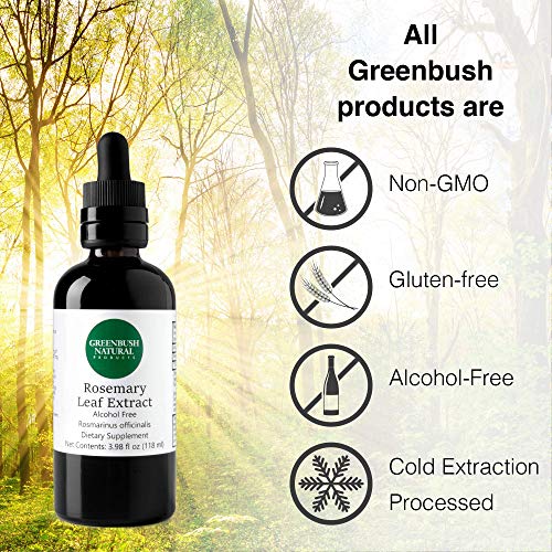 vitamins and minerals for energy support