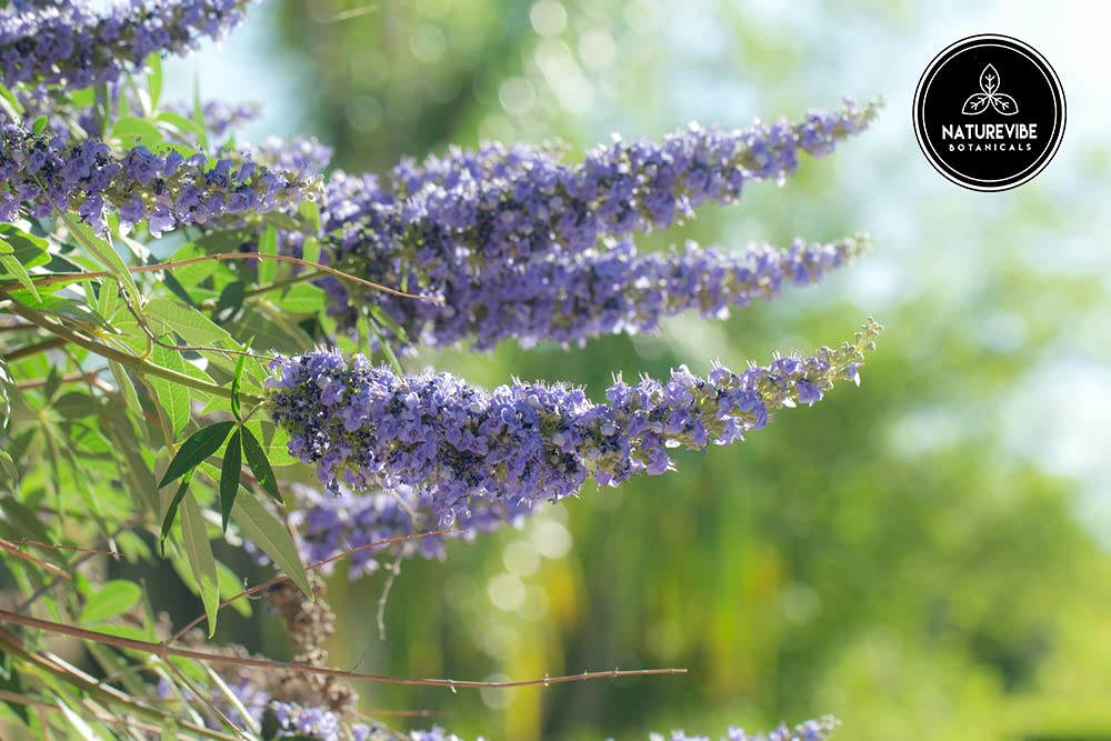 Vitamins and minerals from chaste tree