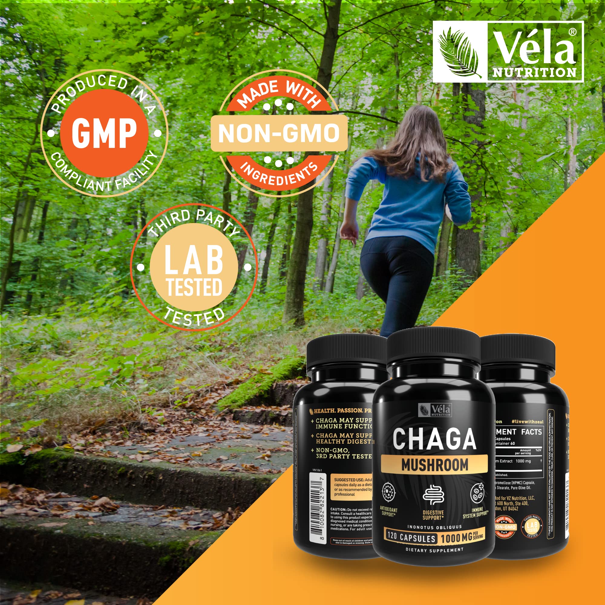 Vitamins and minerals in Chaga mushrooms