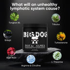vitamins for active lifestyle
