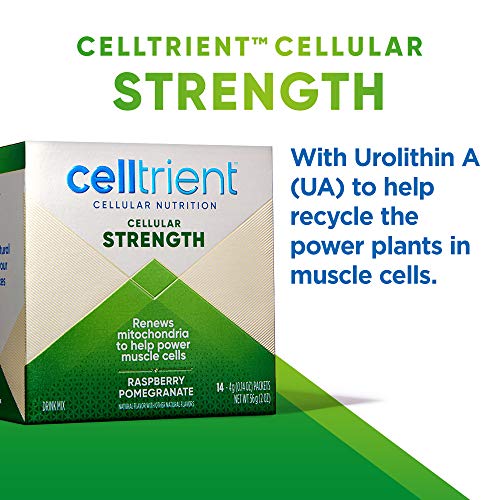 Vitamins for active lifestyles