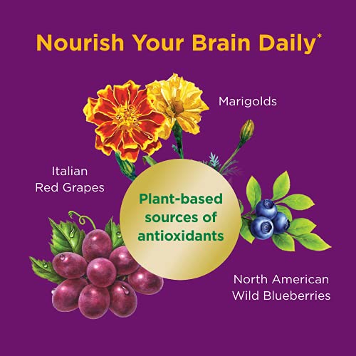 vitamins for better brain function