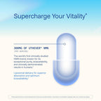 Vitamins for cognitive function support