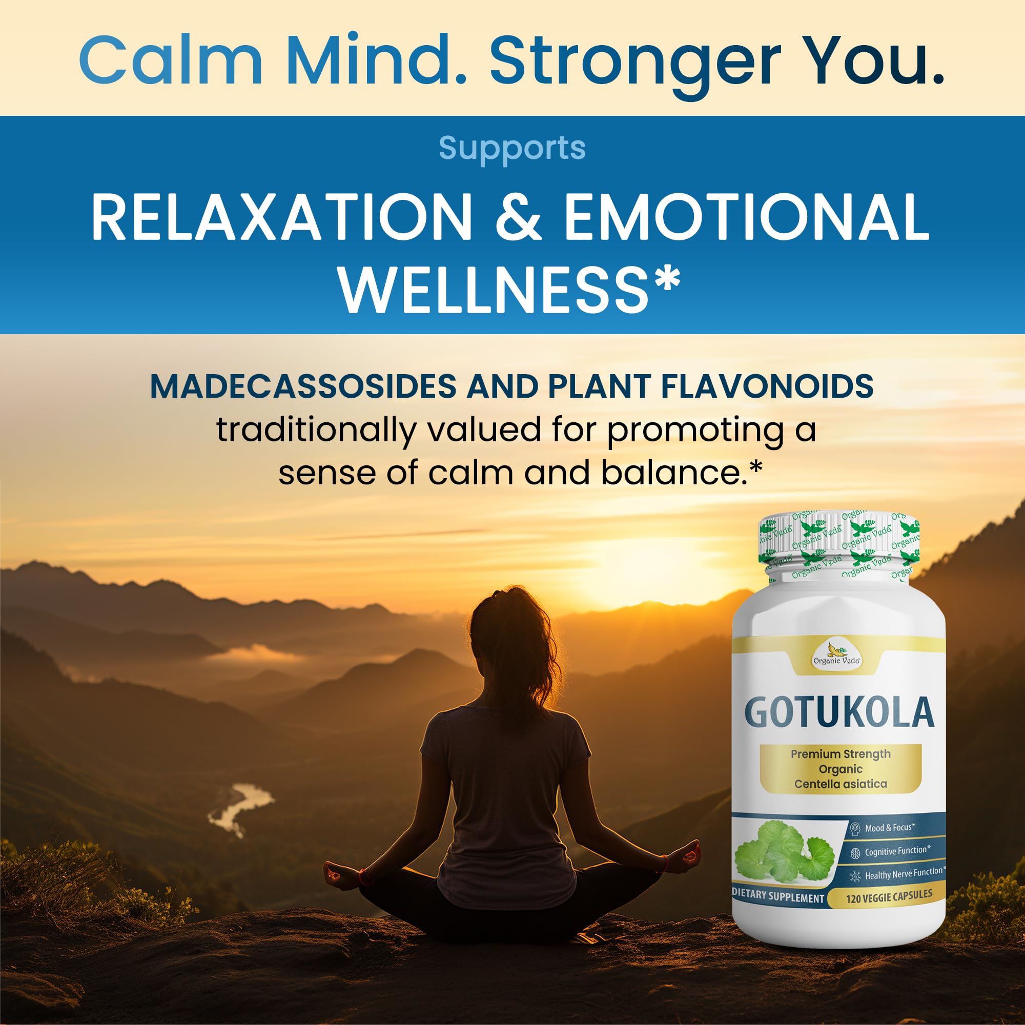 Vitamins for cognitive performance