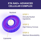Vitamins for enhanced physical performance