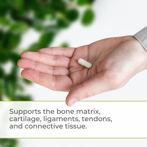 vitamins for healthy cartilage function