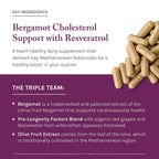 Vitamins for healthy cholesterol levels