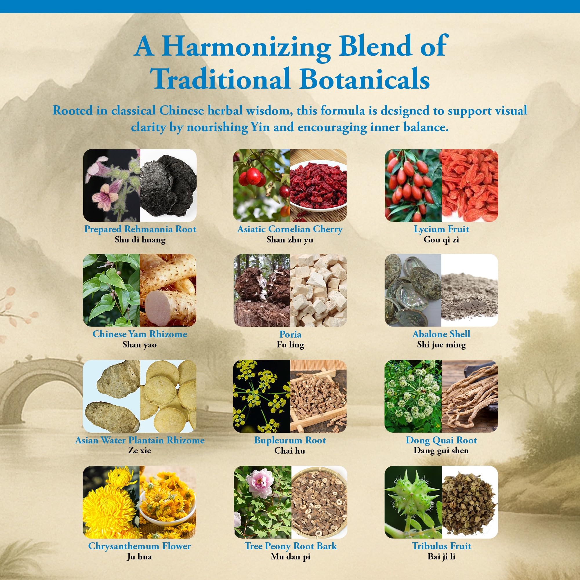 vitamins for healthy vision support