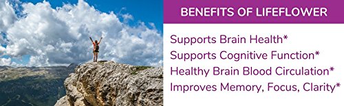 vitamins for improved mental performance