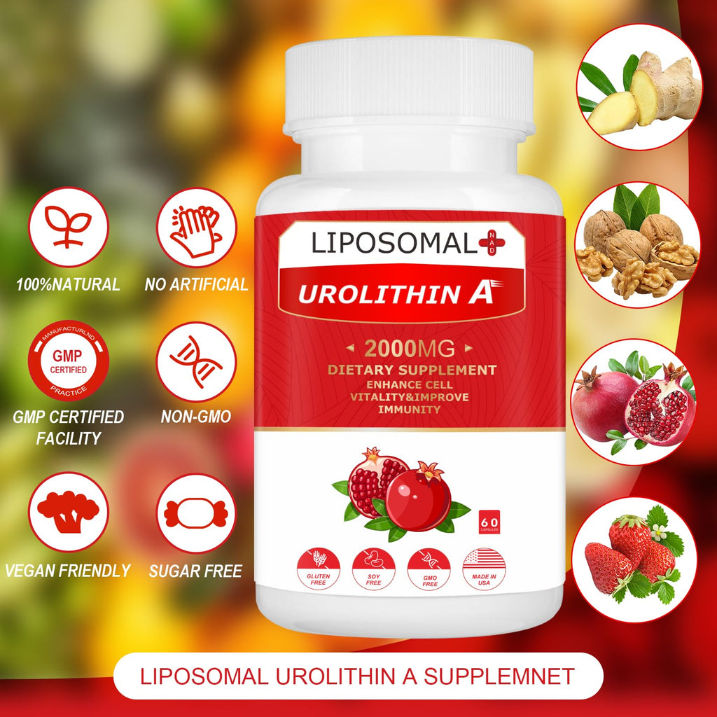 Vitamins for improved mitochondrial function