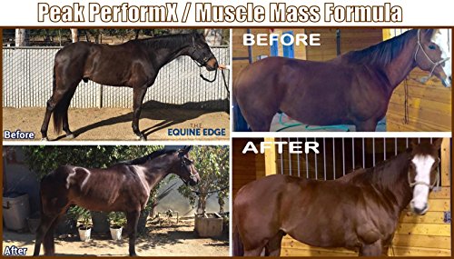 Vitamins for improved nitric oxide levels