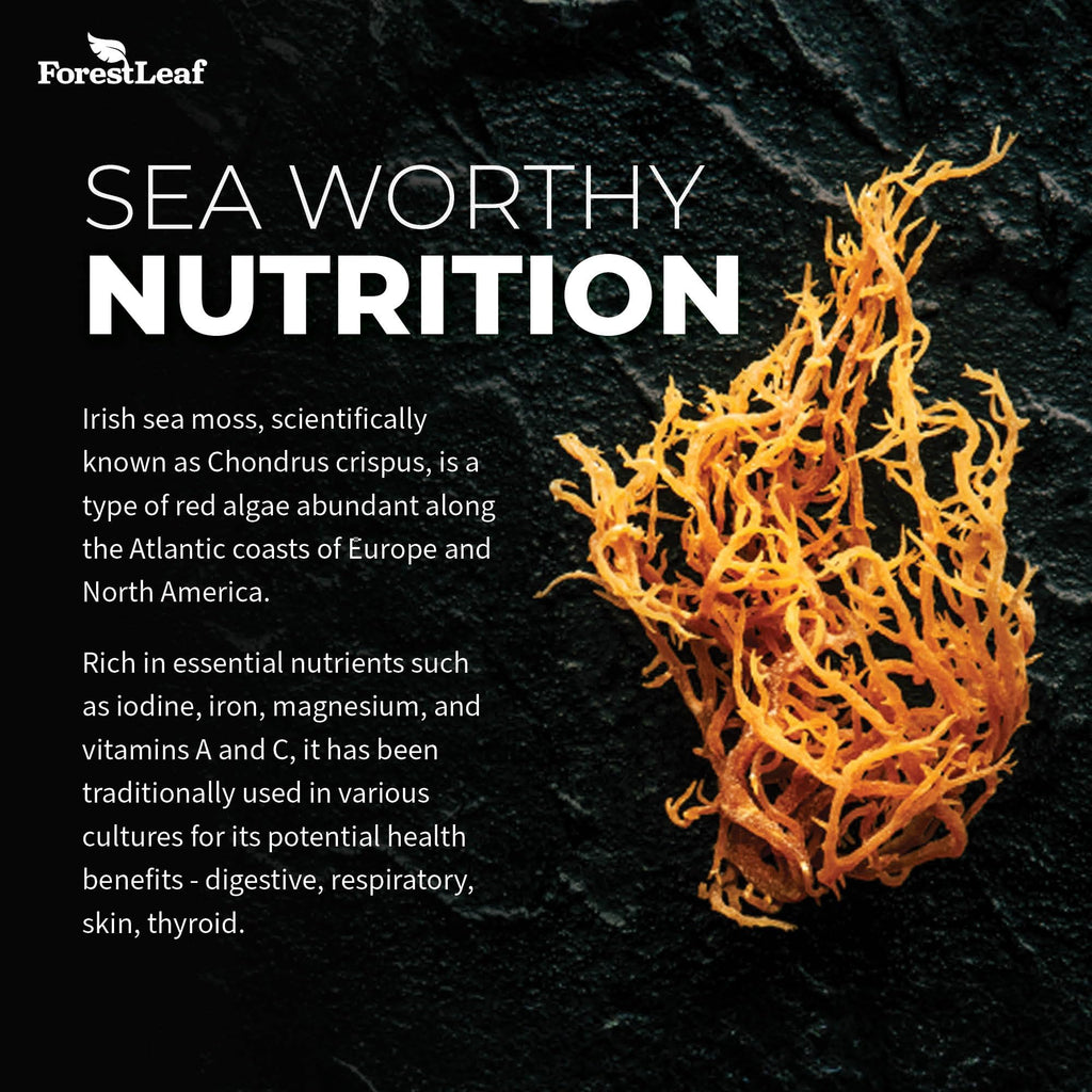 Vitamins for overall wellness supplements