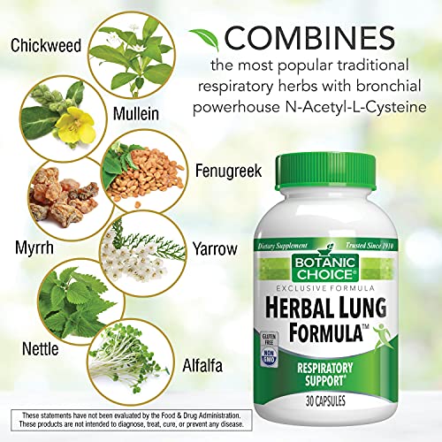 vitamins for respiratory system
