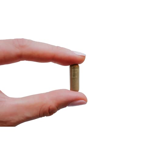 vitamins for sharper cognitive function