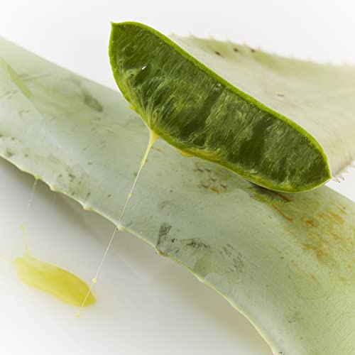 Vitamins in Ultimate Aloe Pomegranate