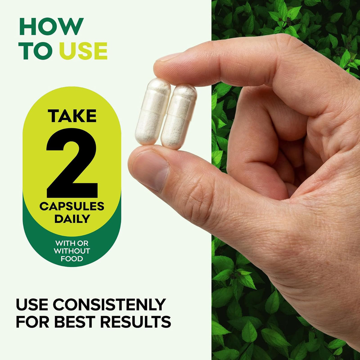 Vitamins to enhance memory function