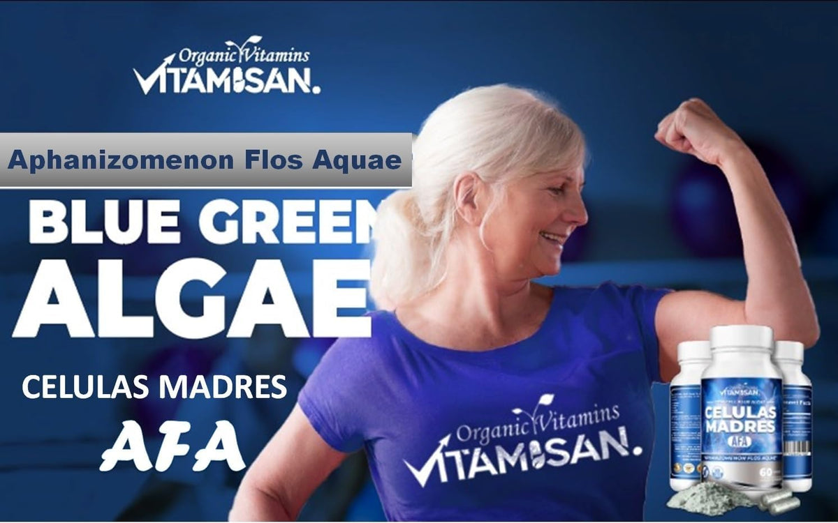 Vitamisan algae capsules for vitality