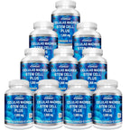 VITAMISAN multivitamins for overall health
