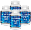 Vitamisan spirulina for energy boost