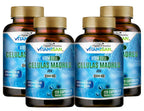 VITAMISAN Stem Cell Plus capsules