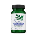 Vitanica Chaste Tree Berry capsules