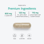 Vitanica l-lysine capsules for daily use