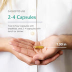 Vitanica multivitamins for energy support