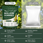 Vitanics Mullein for everyday wellness