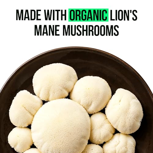 VitaRaw lion's mane immune support
