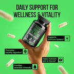 VitaRaw sea moss for immune support