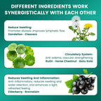 Vitarevive herbal blend for wellness