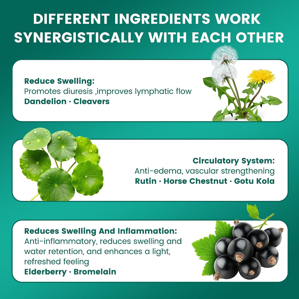 Vitarevive herbal blend for wellness