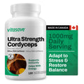 Vitasave Cordyceps mushroom energy boost
