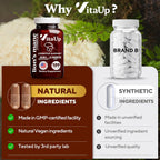 VitaUp mushroom complex for focus
