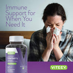 Viteey kids elderberry gummies