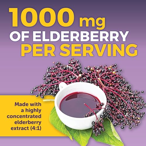 Viva Naturals elderberry antioxidant benefits