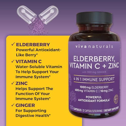 Viva Naturals elderberry antioxidant benefits