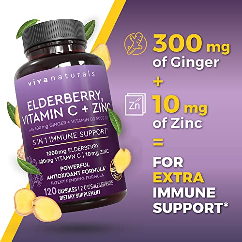 Viva Naturals elderberry for overall health