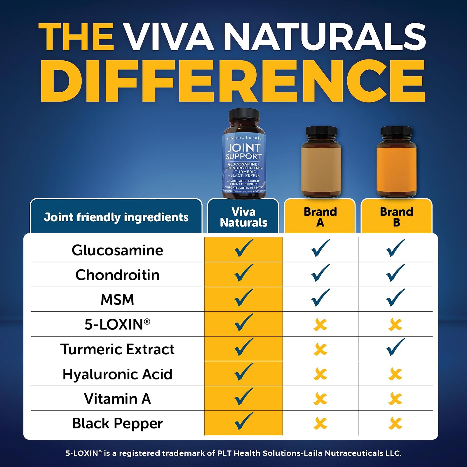 Viva Naturals MSM capsules benefits