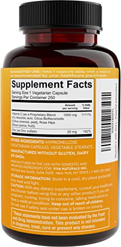 Viva Naturals vitamin C for antioxidant support