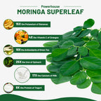 vivcmin Moringa capsules for daily nutrition