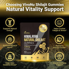 VivoNu energy-boosting shilajit gummies